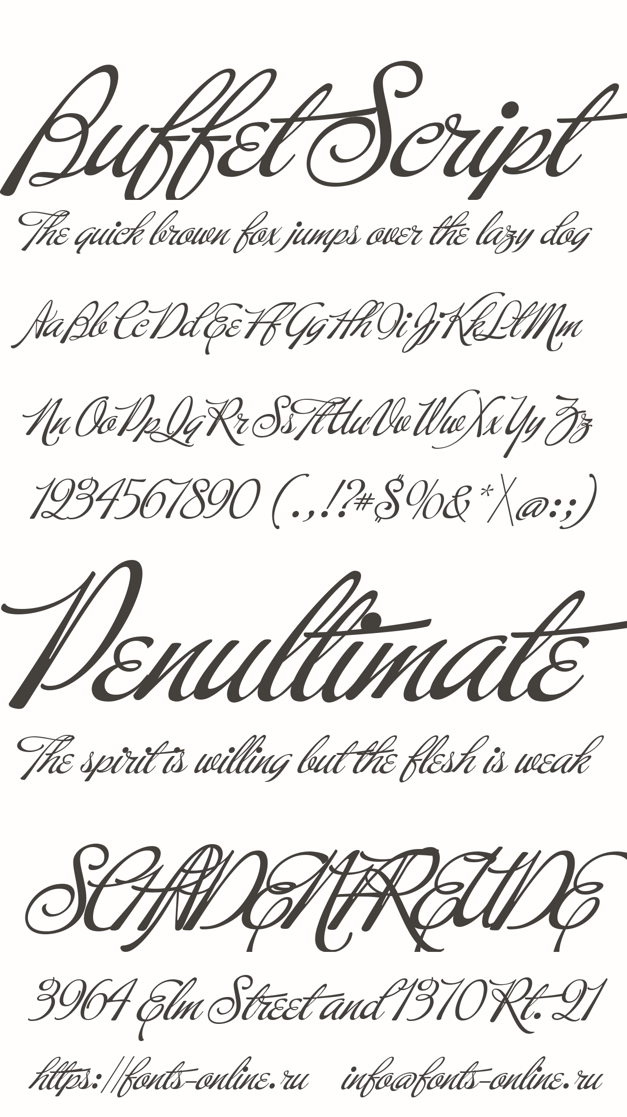 Buffet Script Font